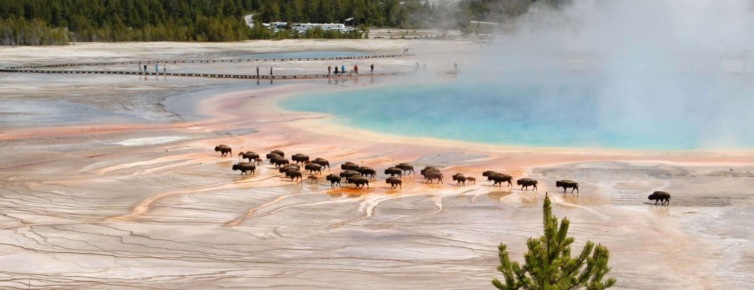 Diagnostic Imaging Update in Jackson Hole, The Grand Tetons ...