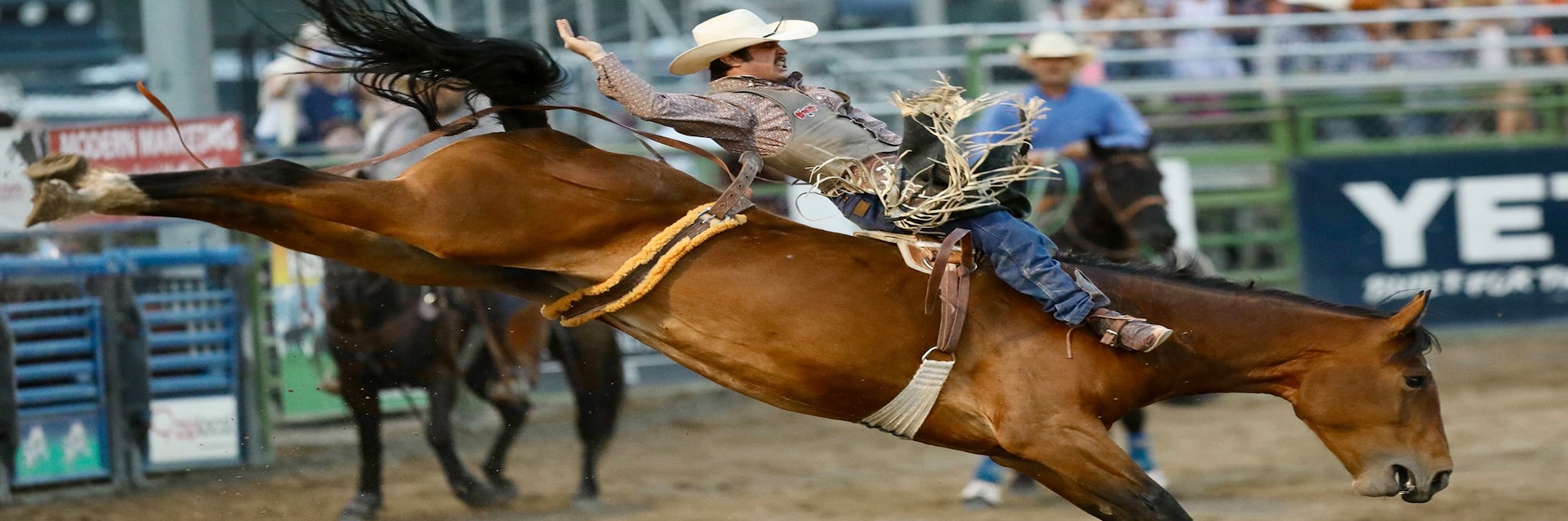 Diagnostic Imaging Update in Jackson Hole, The Grand Tetons ...